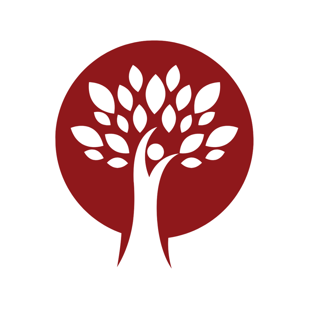 Premium Supplements to Fuel Your Body – Solaris Premium